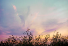 Dusky Sunset Free Stock Photo - Public Domain Pictures