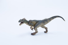 Attacking Allosaurus Free Stock Photo - Public Domain Pictures