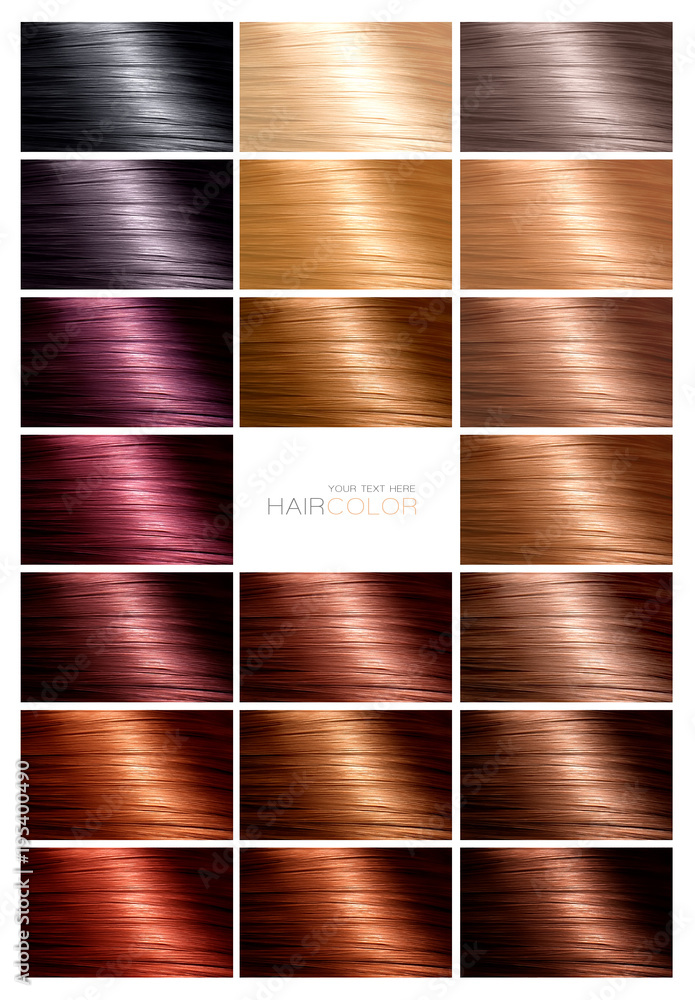 Hair color palette with a range of swatches Stock Photo | Adobe Stock