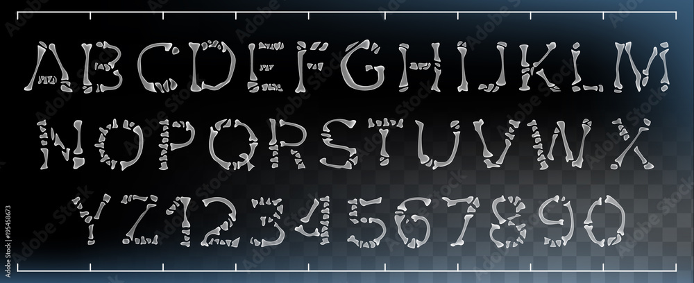 Bone Font Vector. Made Out Of Transparent Bones. Monster Horrible Font ...