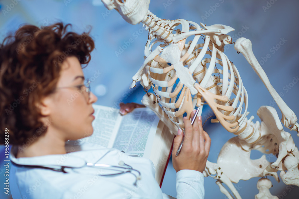 Medical doctor woman teaching anatomy using human skeleton model Stock Photo | Adobe Stock