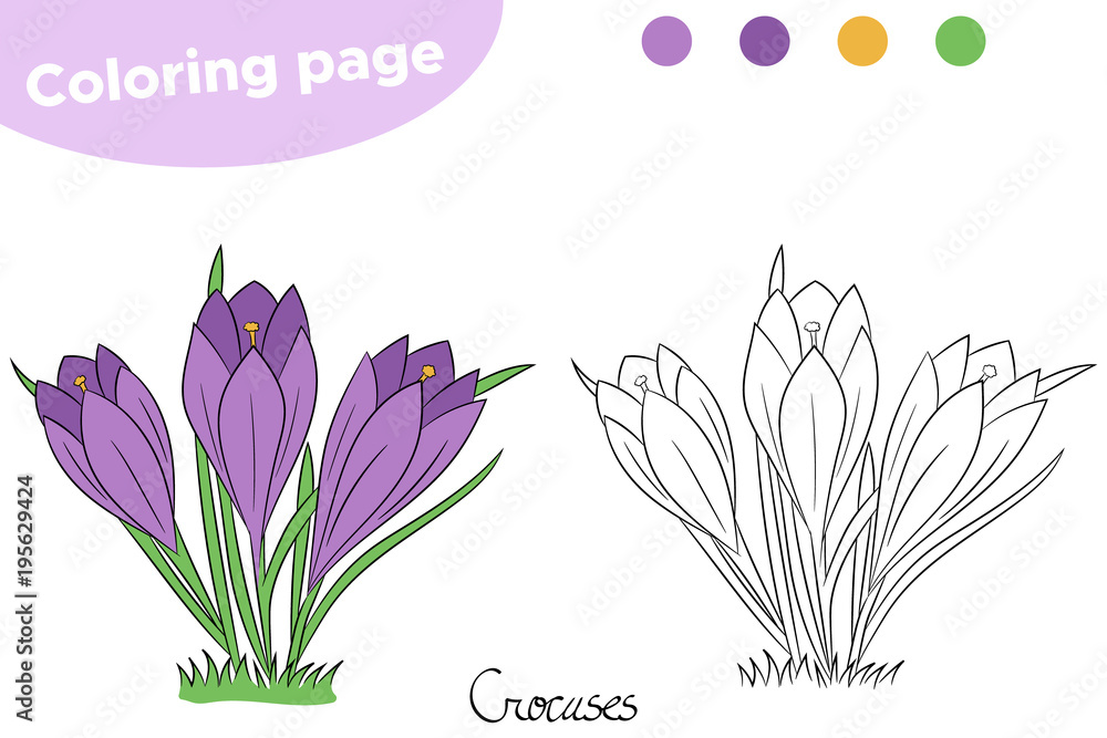 Coloring page for children, spring flowers Crocuses. Hand drawn. Vector ...