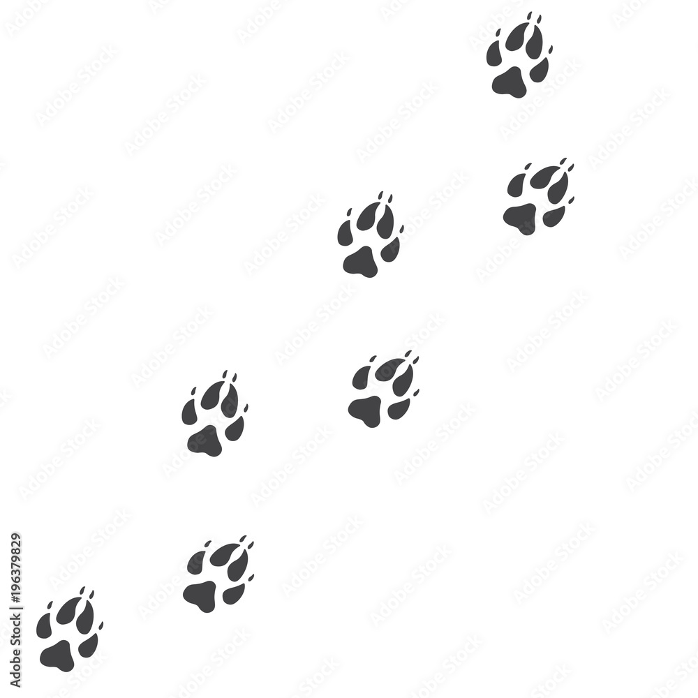 What Does Fox Prints Look Like - Infoupdate.org