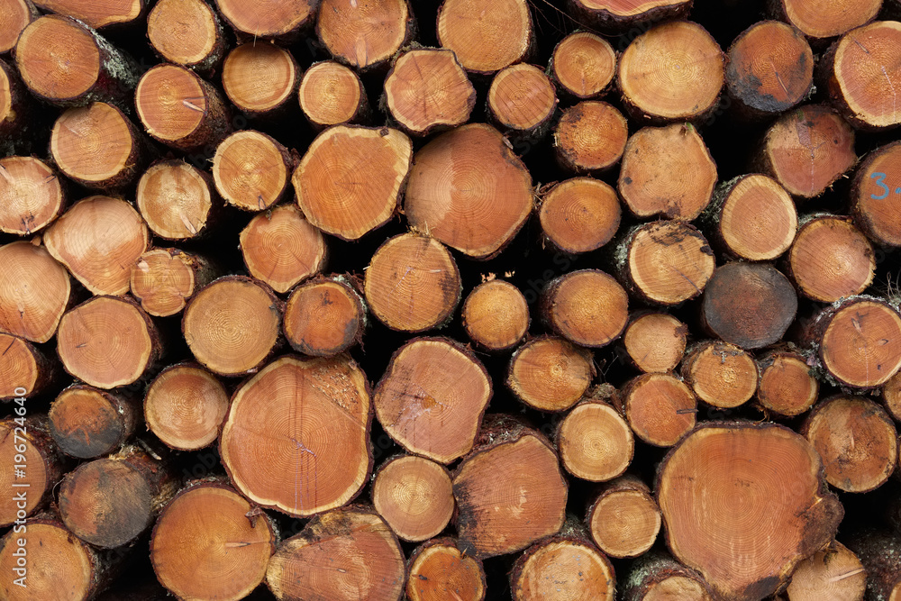 Chopped wood tree logs close up stacked orange brown biomass fuel Stock ...