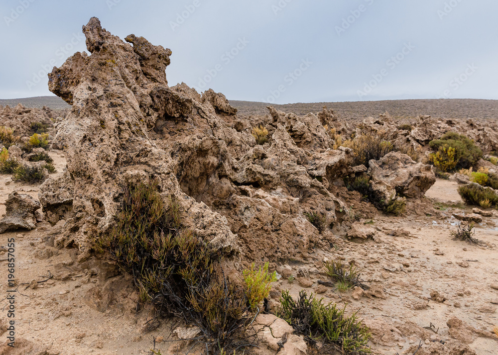 Altiplano, Bolivia petrified corals from times when the Altiplano was ...
