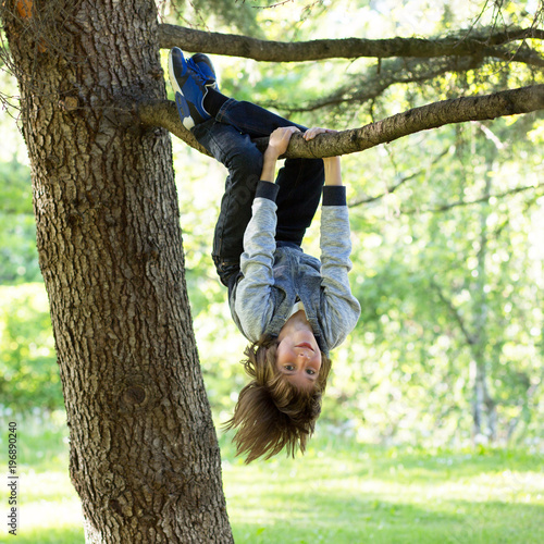 Young boy playing and climbing a tree and hanging upside down. Teen boy ... Young boy playing and climbing a tree and hanging upside down. Teen boy ...