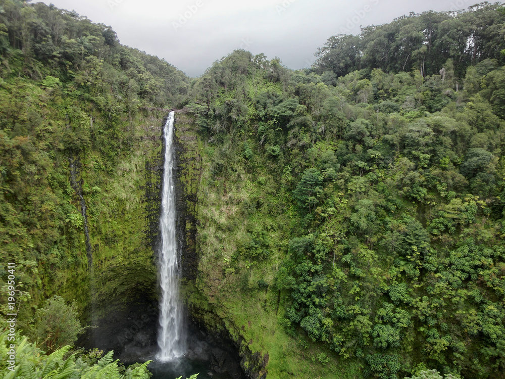 Akaka falls Hawaii big island waterfall Stock Photo | Adobe Stock