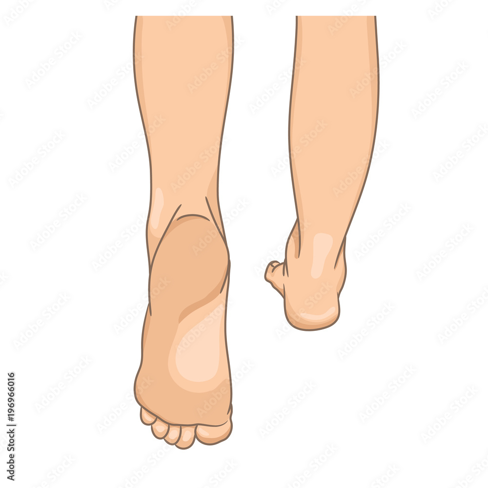 Female legs barefoot, back view, walking. Vector illustration, hand ...