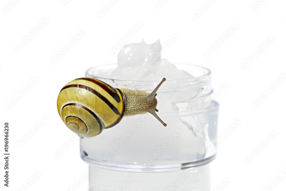 Photo Stock Snail slime. cosmetic with snail mucus.cosmetic with ...