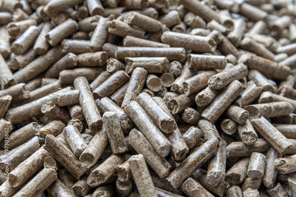 Cassava pellets for benefits animal feed Stock Photo | Adobe Stock