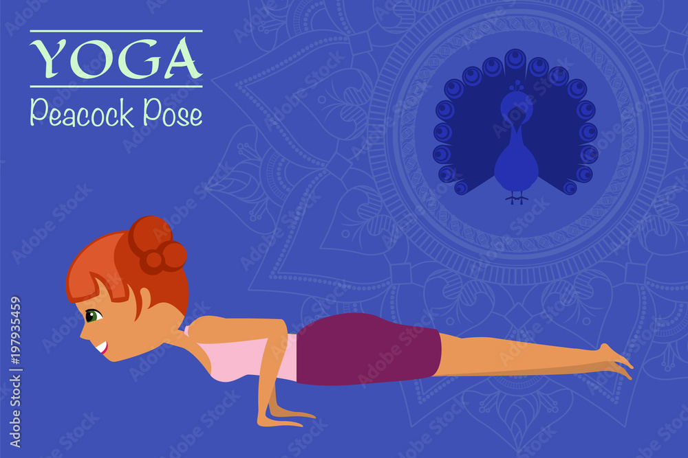 Yoga. Asana is the pose of the peacock. A graphic illustration of the ...