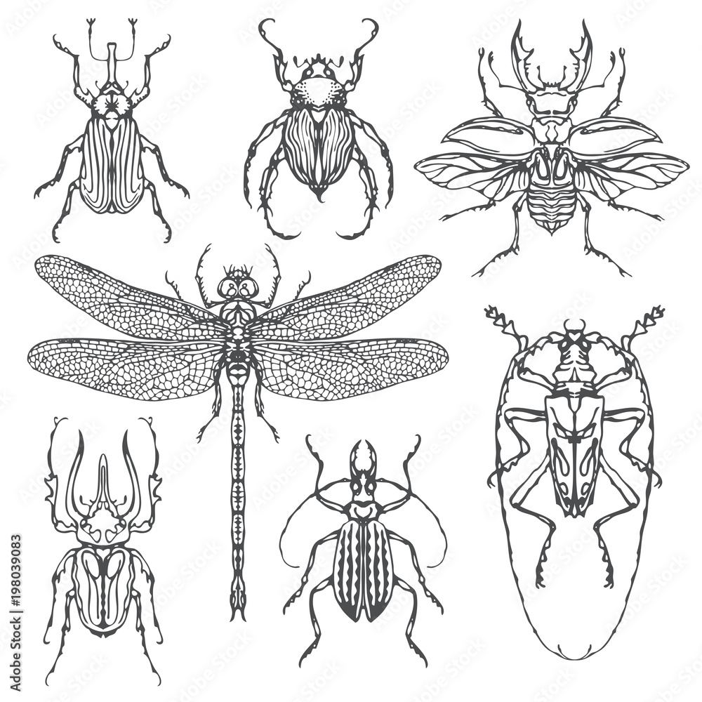 Stock-Vektorgrafik „Vector set of various insects in retro style. Bugs ...