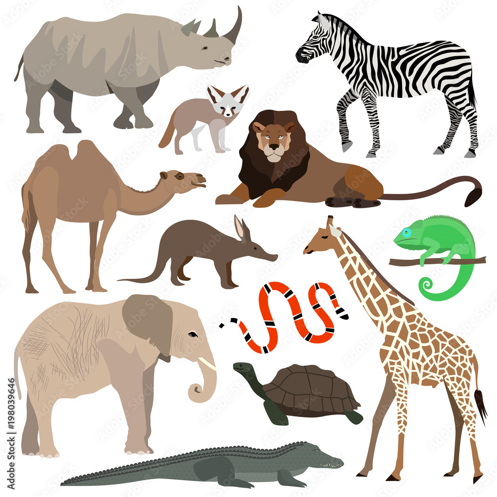 African animals set. Elephant, giraffe, buffalo, hippo, rhino, lion ...
