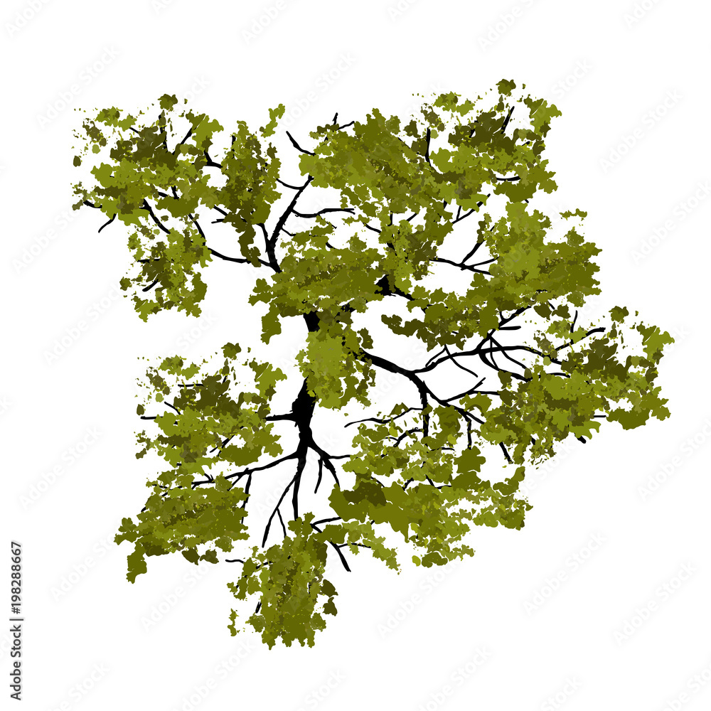 Trees top view for landscape vector illustration. Stock Vector | Adobe ...