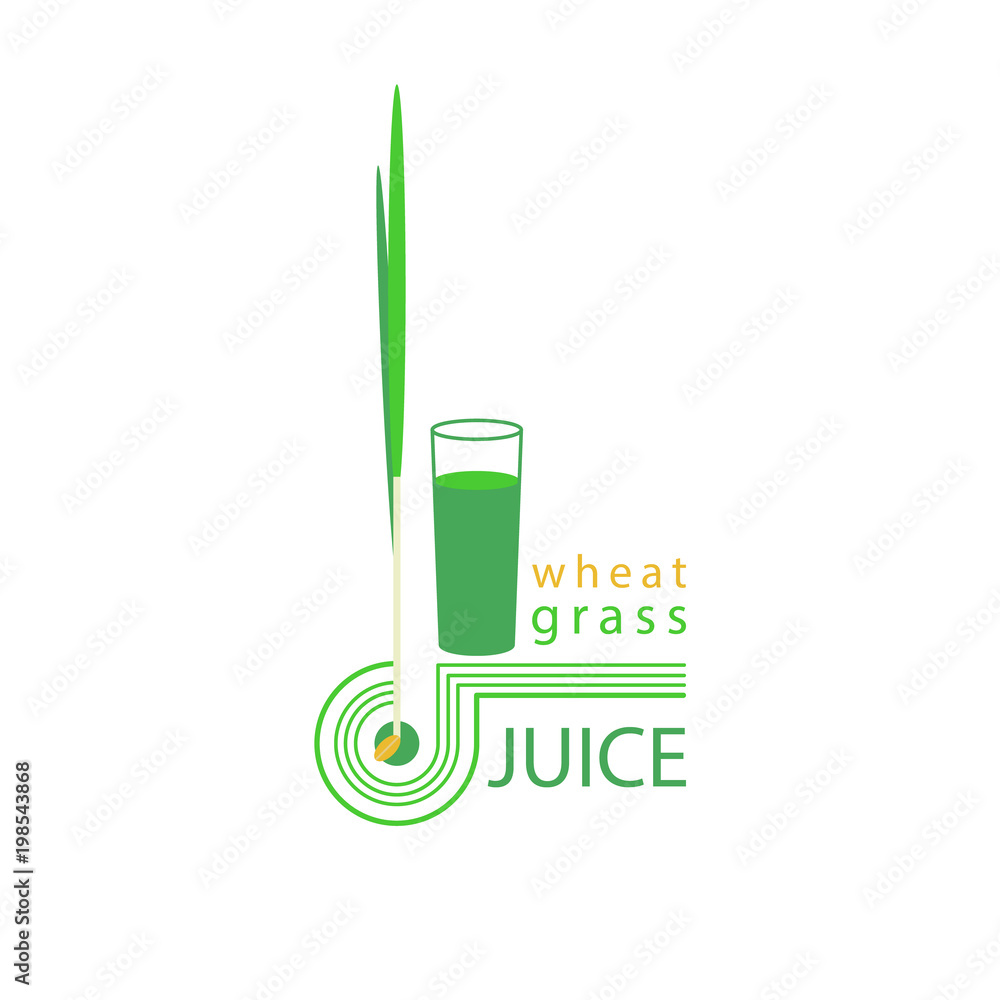 Wheatgrass juice. A glass with a drink, a green sprout and a seed ...