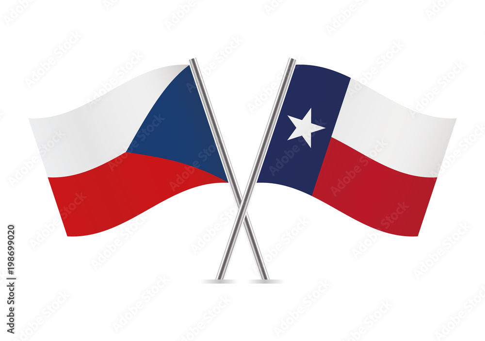 Czech republic and Texas flags. Vector illustration. Stock Vector ...