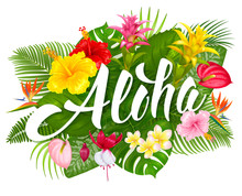 Aloha Hawaii Travel Poster Free Stock Photo - Public Domain Pictures Aloha Hawaii Travel Poster Free Stock Photo - Public Domain Pictures