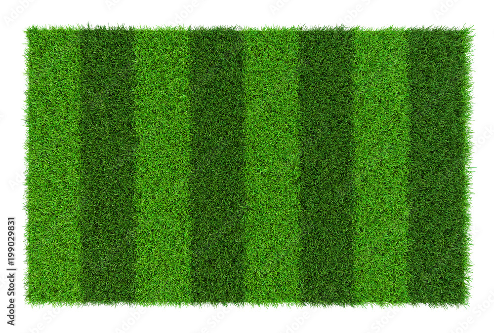 Striped soccer field texture, background with copy space top view ...
