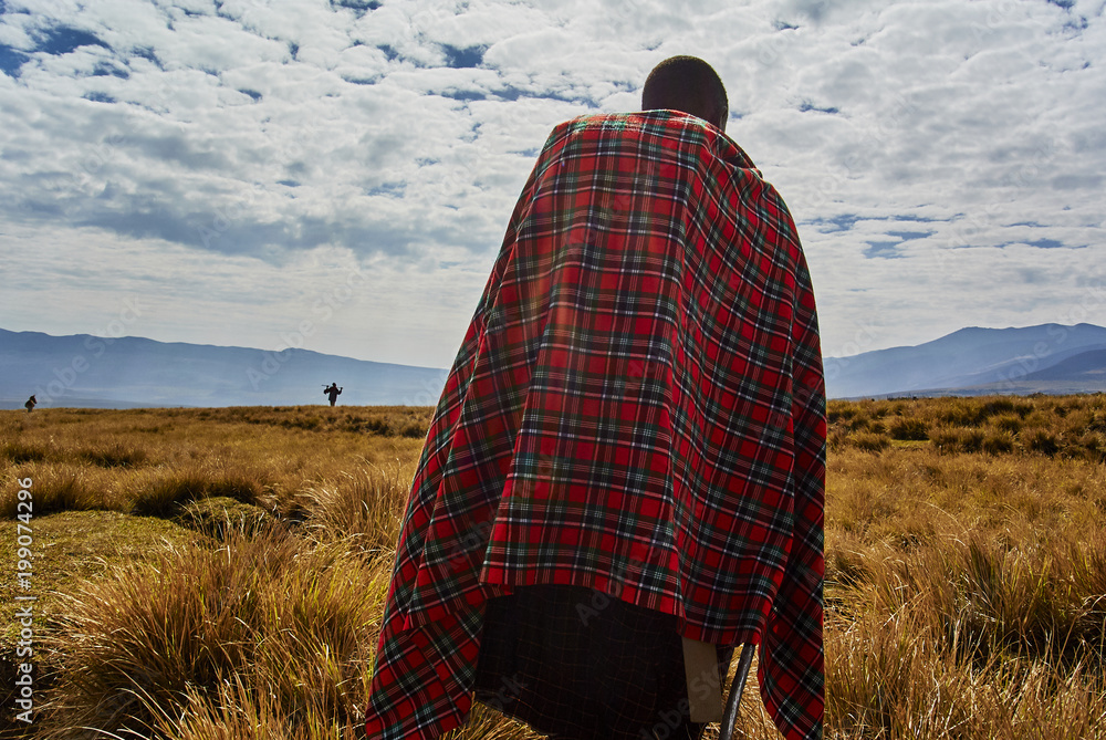 Hike Ngorongoro Conservation Area National park Highlands craters en ...
