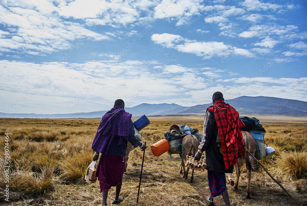 Hike Ngorongoro Conservation Area National park Highlands craters en ...