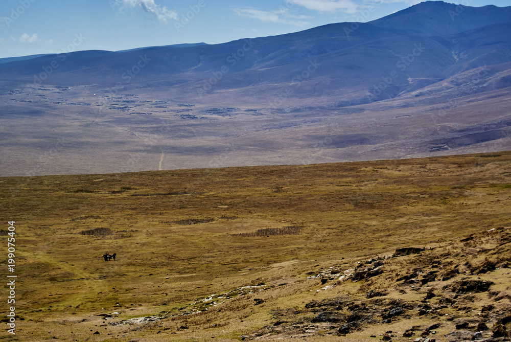 Hike Ngorongoro Conservation Area National park Highlands craters en ...