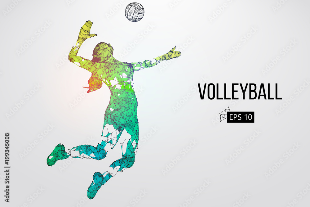 Silhouette of volleyball player. Vector illustration. Stock Vector ...