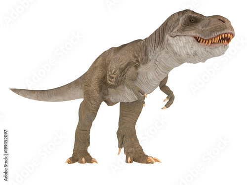 Tyrannosaurus Rex or T-rex from different point of view like top front ...
