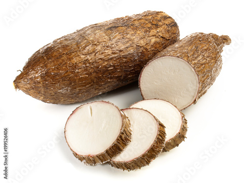 Maniok - Wurzel - Buy this stock photo and explore similar images at ...