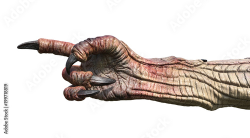 Monster Hand Pointing Finger Stock Illustration | Adobe Stock