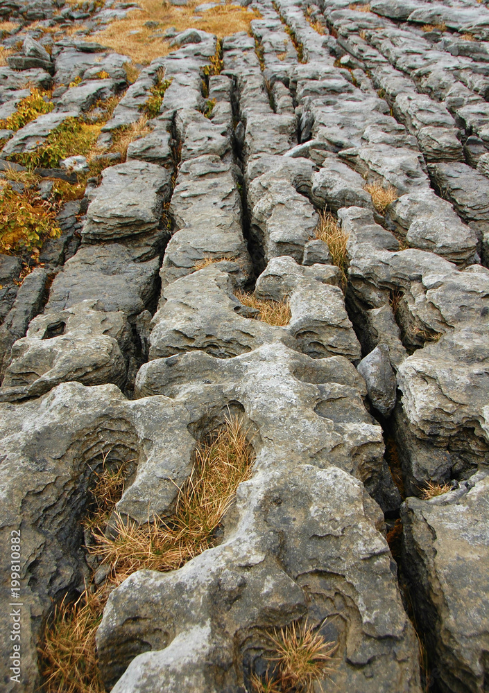 Limestone Pavement Burren Region Ireland Stock Photo | Adobe Stock