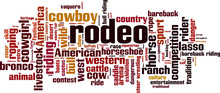 Rodeo Steers Free Stock Photo - Public Domain Pictures