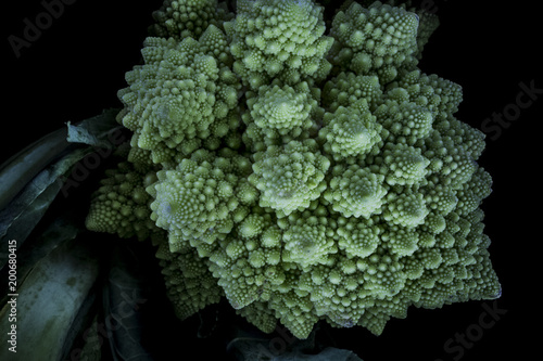Close up Romanesco broccoli Brassica oleracea aesthetic vegetable ...