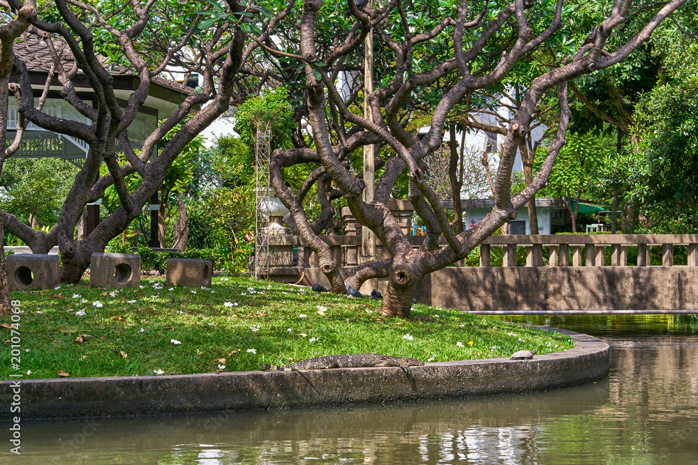Suan Saranrom Park in Bangkok, Thailand Stock Photo | Adobe Stock