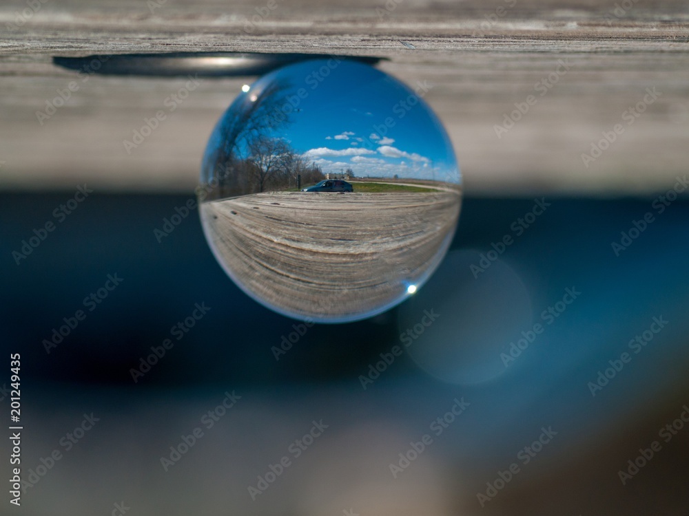 Photo Stock Reflections of bare tres of the forest in a crystal ball ...