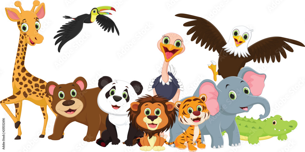 Cute Animals White Background