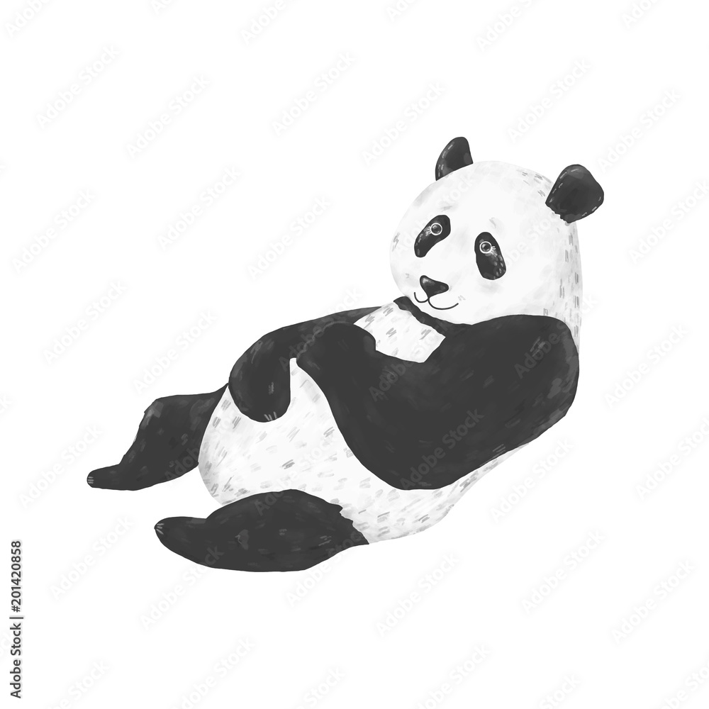 Panda clip art drawing animal illustration on white background cute ...
