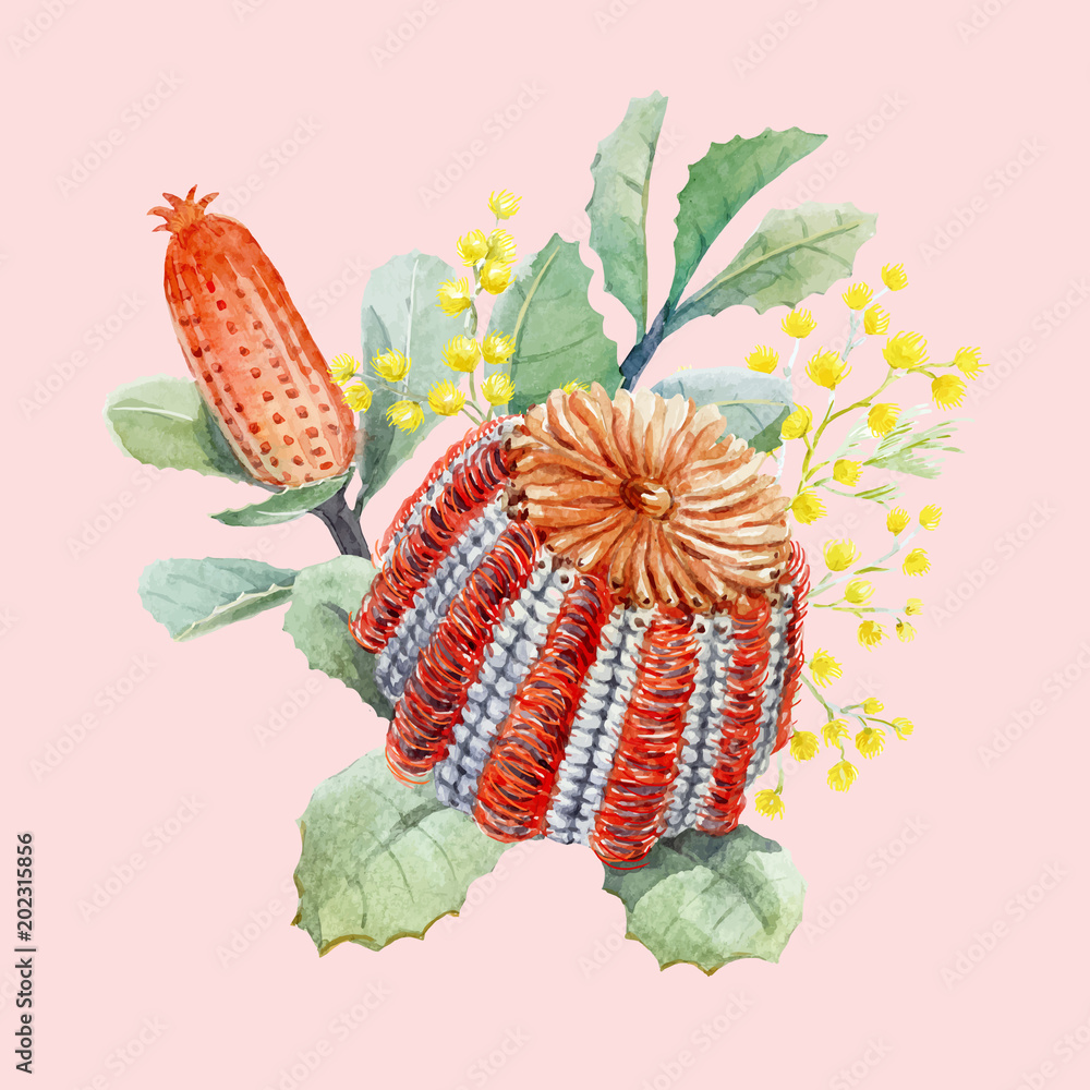 Watercolor australian banksia vector composition Stock Vector | Adobe Stock