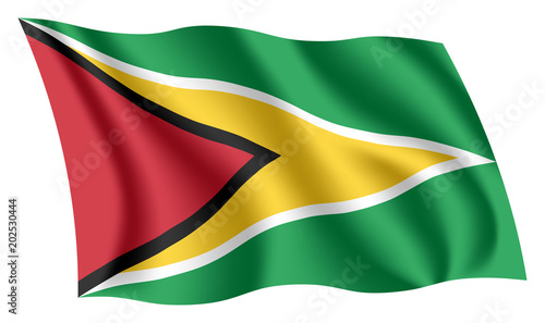 Guyana flag. Isolated national flag of Guyana. Waving flag of the Co ...