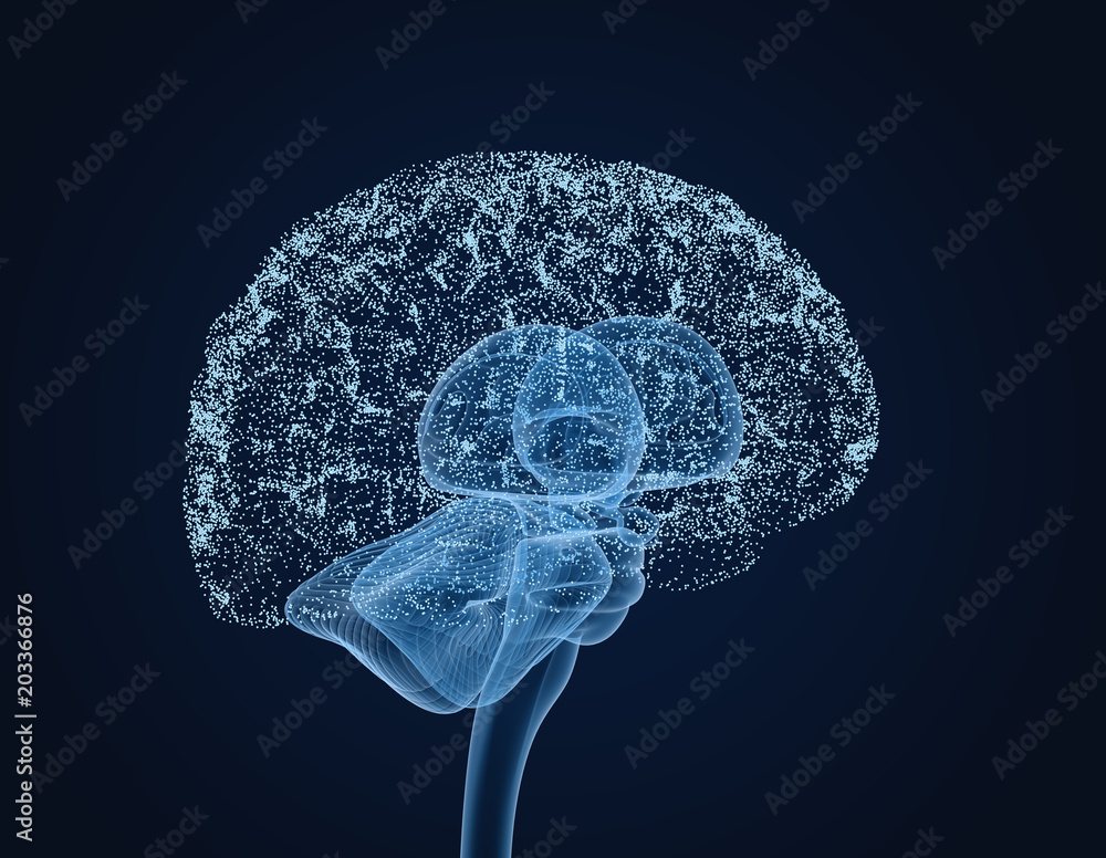 Human brain X-ray scan , Medically accurate 3D illustration Stock ...