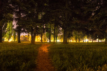 Enlightened Forest Path Free Stock Photo - Public Domain Pictures