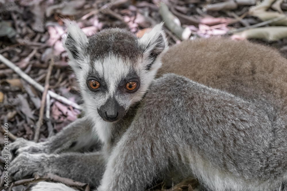 Bantu, Isalo, Madagascar, Sandstone, adventure, africa, african ...