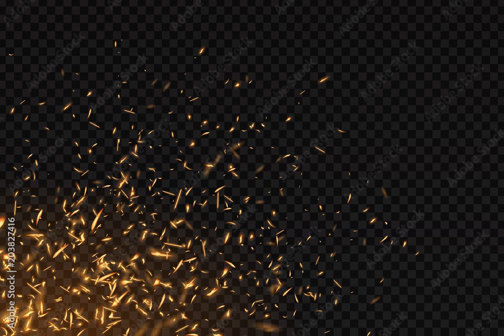 Vector realistic isolated fire effect for decoration and covering on ...