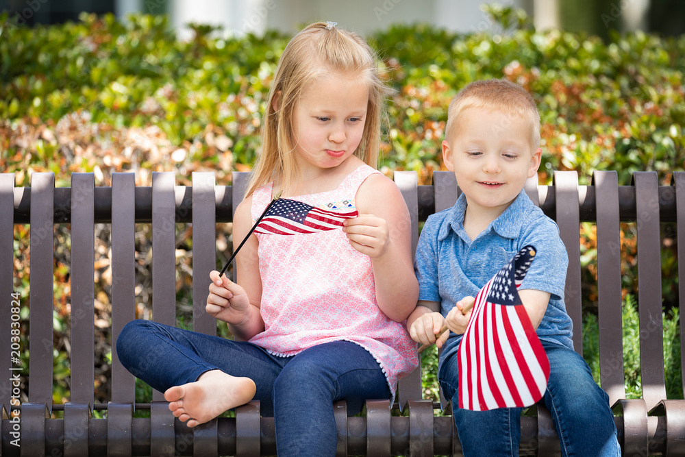 Young Sister and Brother Comparing Each Others American Flag Size On ...