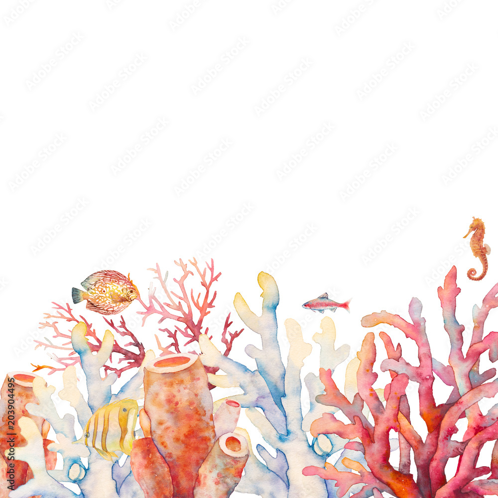 Watercolor coral border. Hand drawn isolated card design with ...