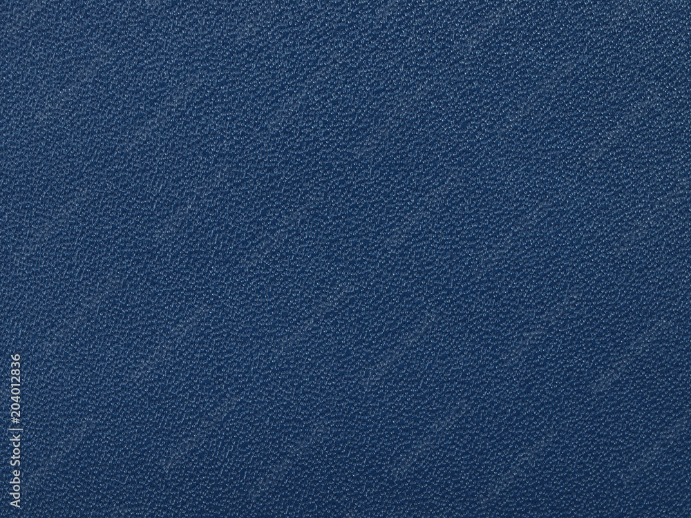Blue skin texture Stock Photo | Adobe Stock