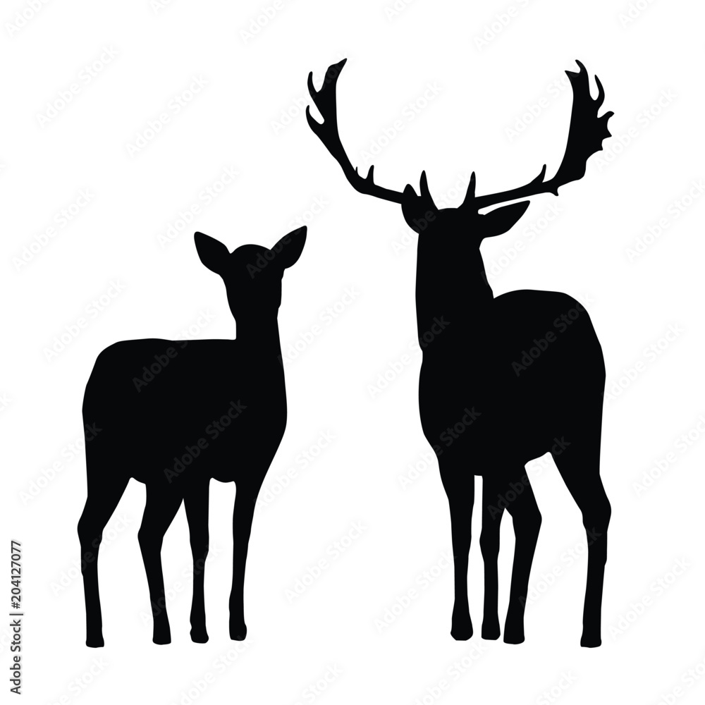 Vector silhouettes of deer and hind, isolated Stock Vector | Adobe Stock