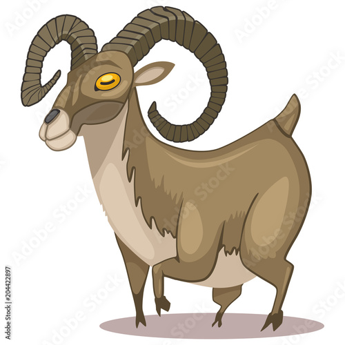 Urial animal cartoon vector illustration isolated on white background ...