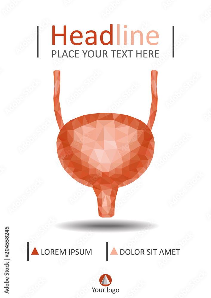 Vector de Stock Book cover urinary bladder system with ureter and ...