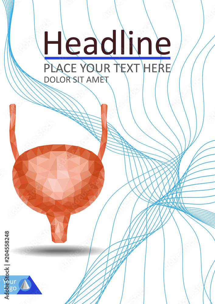 Book cover urinary bladder system with ureter and urethra. Realistic 3d ...