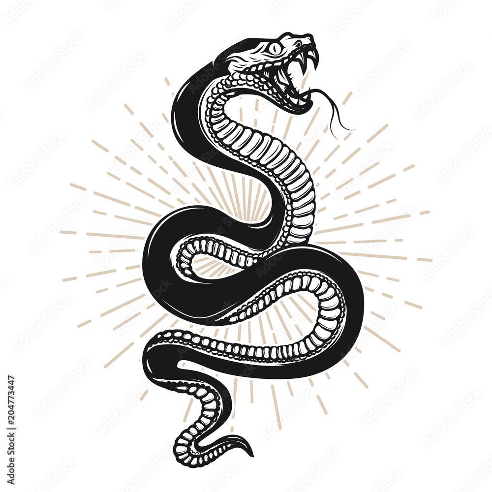 Snake illustration on white background. Design element for poster, t ...